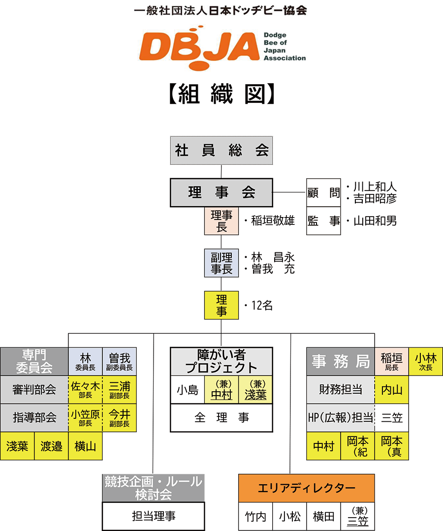 一般社団法人 日本ドッヂビー協会 DBJA